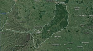 Diferentes tipos de yerba mate - Mate Angiru